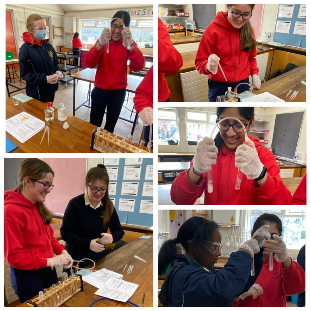 Excellence Beyond the Classroom. – Loreto Secondary School