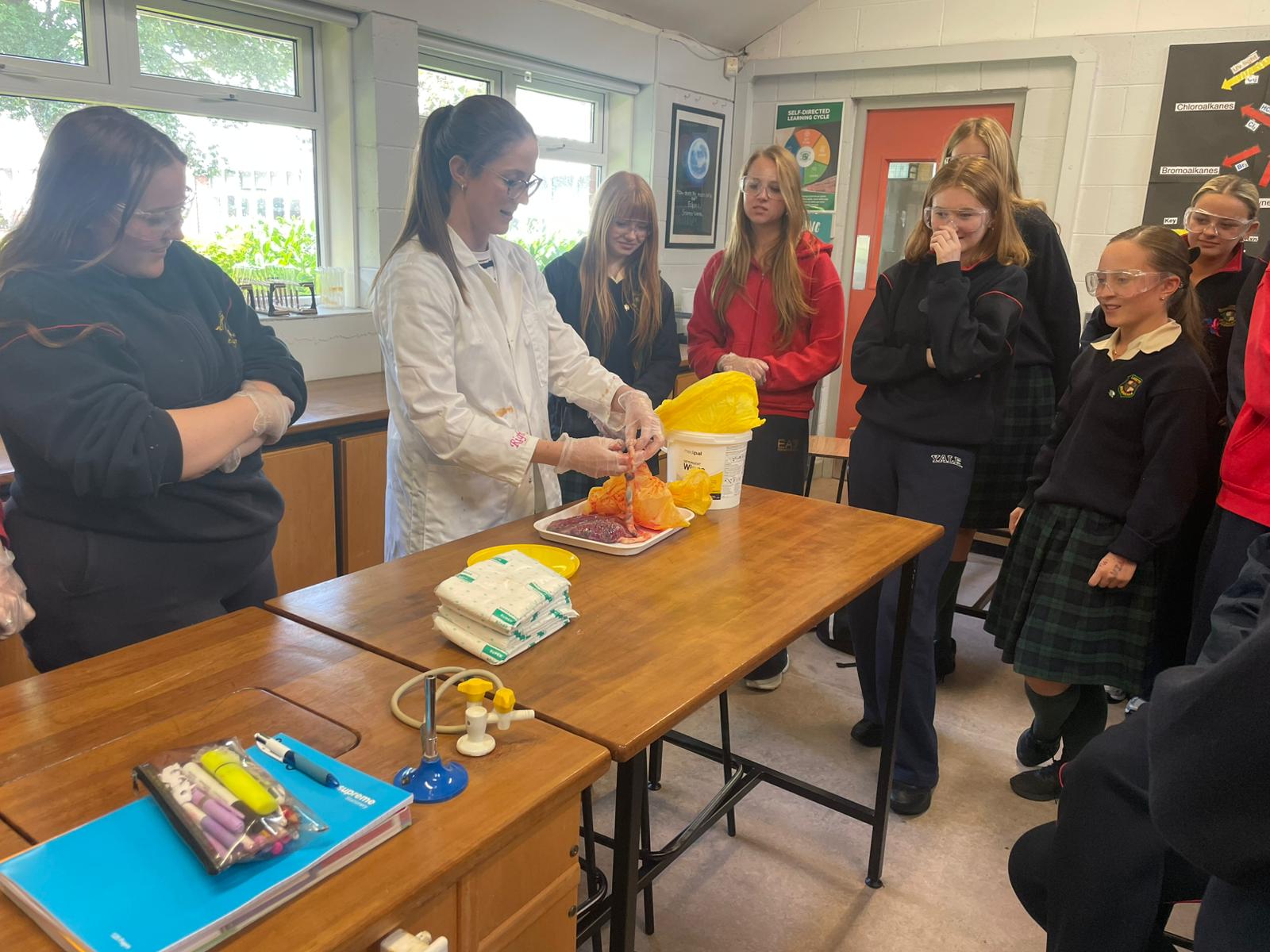 Learning Beyond the Classroom: Highlights from MFL Week and Senior ...